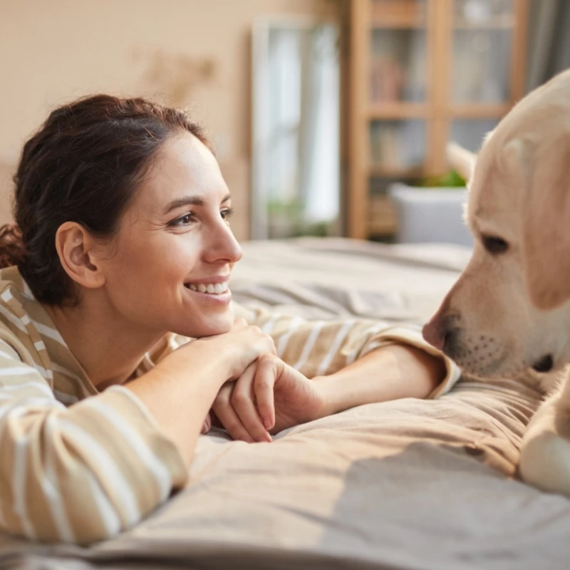 24 Hour Tablets | Telfast® For Allergic Rhinitis /Urticaria Medicine.